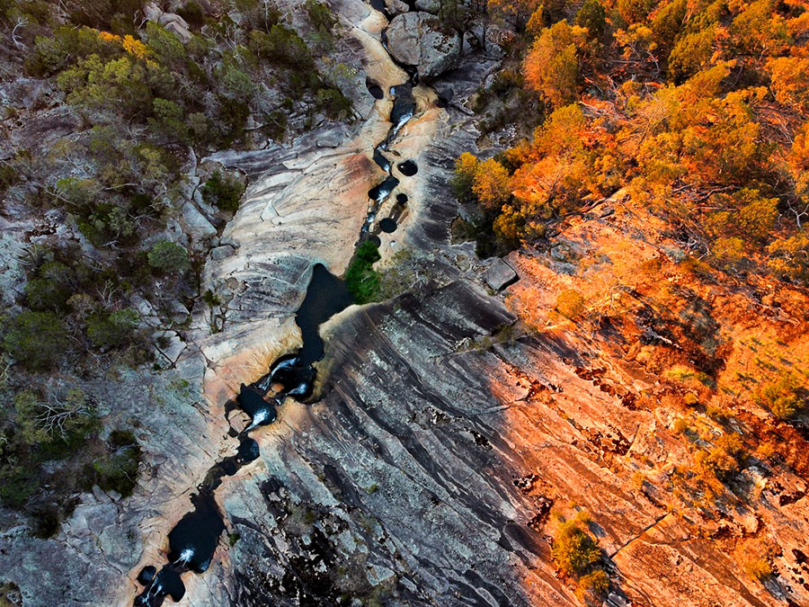 Beechworth Locals' Lens - Jake Lancaster | Beechworth Honey